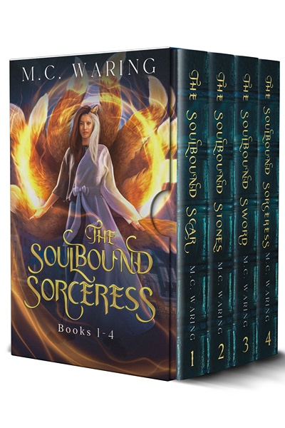 The Soulbound Sorceress Box Set 1 (Books 1-4)