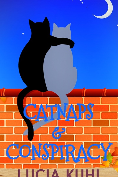 CatNaps & Conspiracies