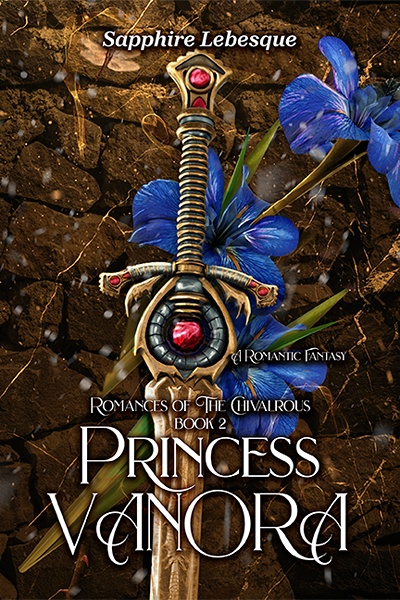 Princess Vanora: A Romantic Fantasy